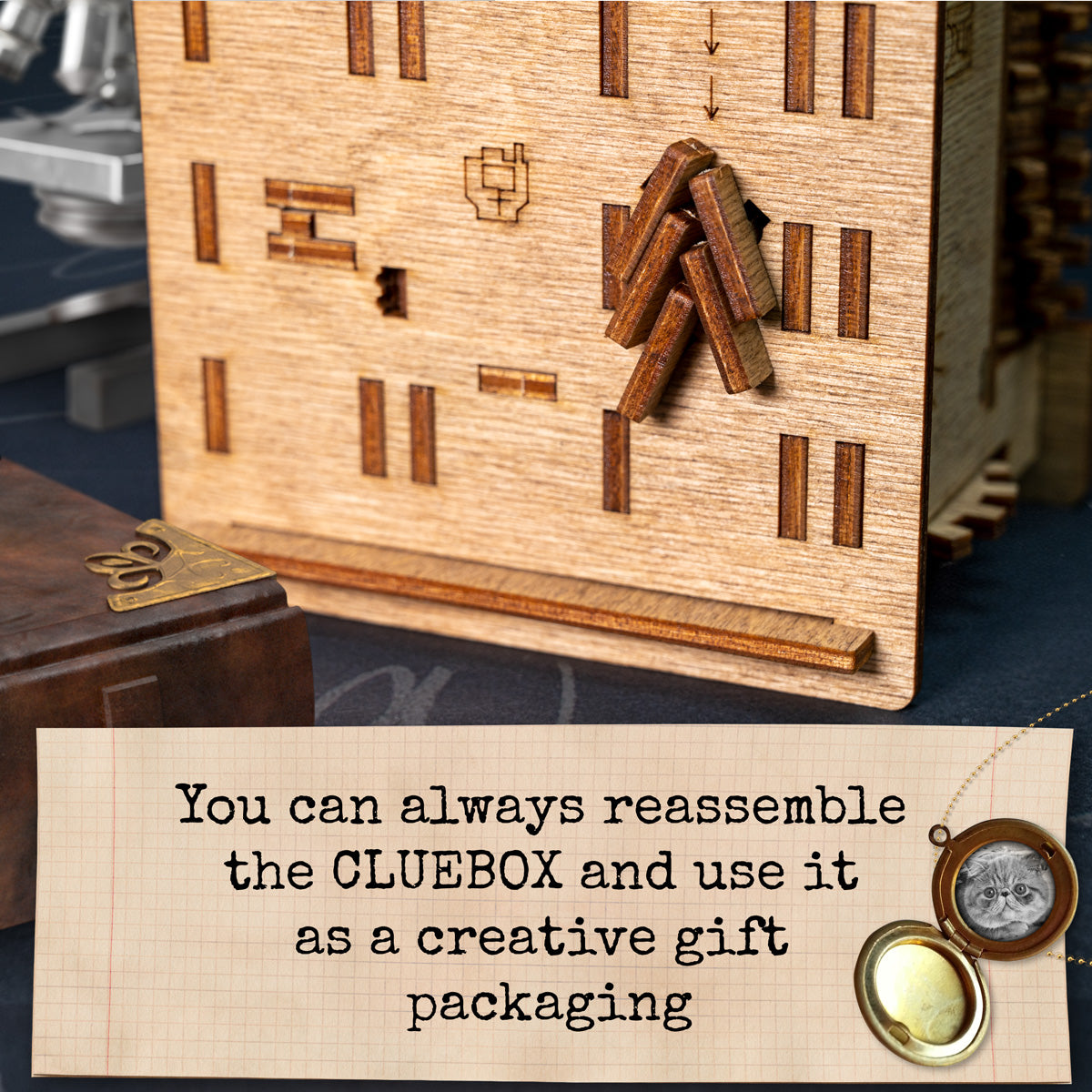 Cluebox - Schrödingers Cat. Escape Room in a Box. 3d Puzzle Box – iDventure Puzzles